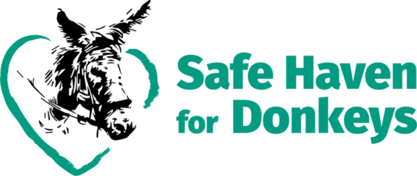 Donkey Web Cams - Safe Haven for Donkeys