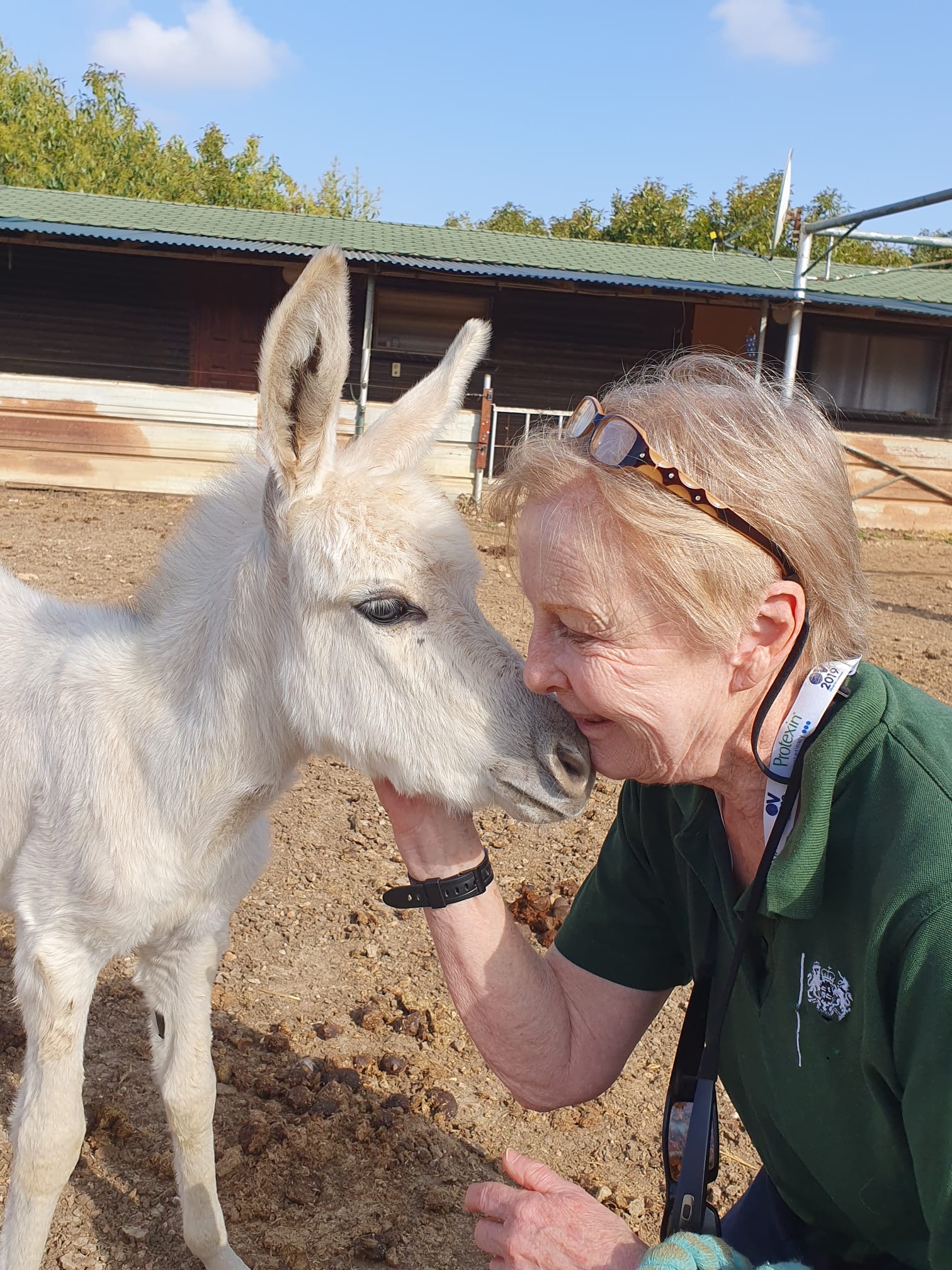 Update from the Sanctuary and the West Bank - 27th April 2023 - Safe ...