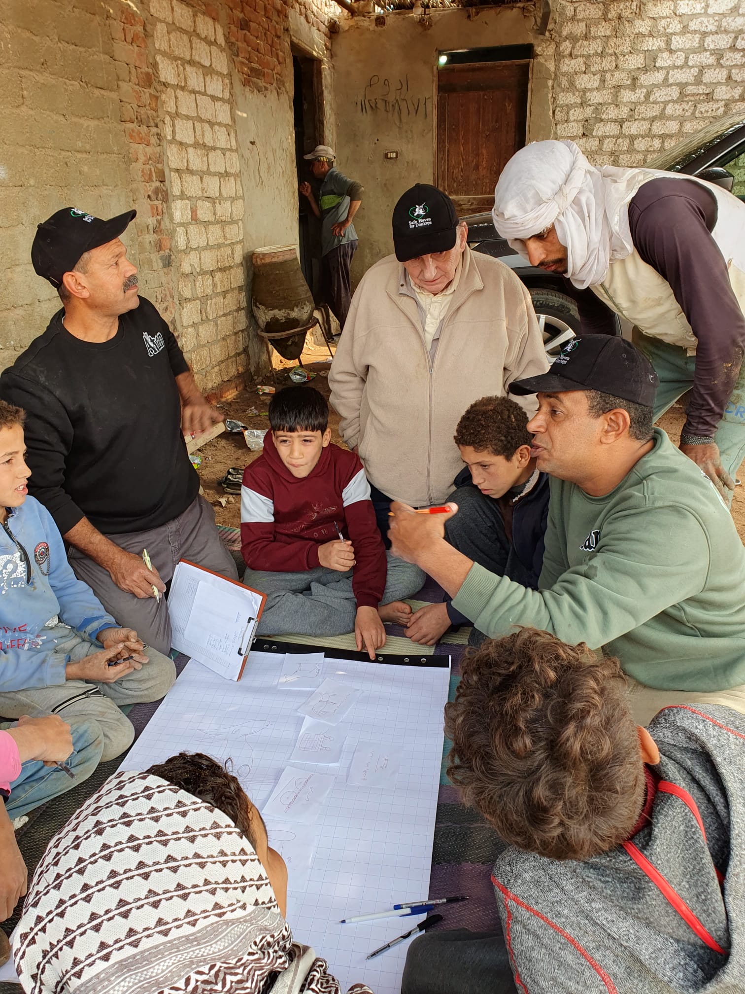Our donkey update - 1st February 2024 - Safe Haven for Donkeys