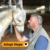Adopt A Donkey with Safe Haven for Donkeys UK Charity