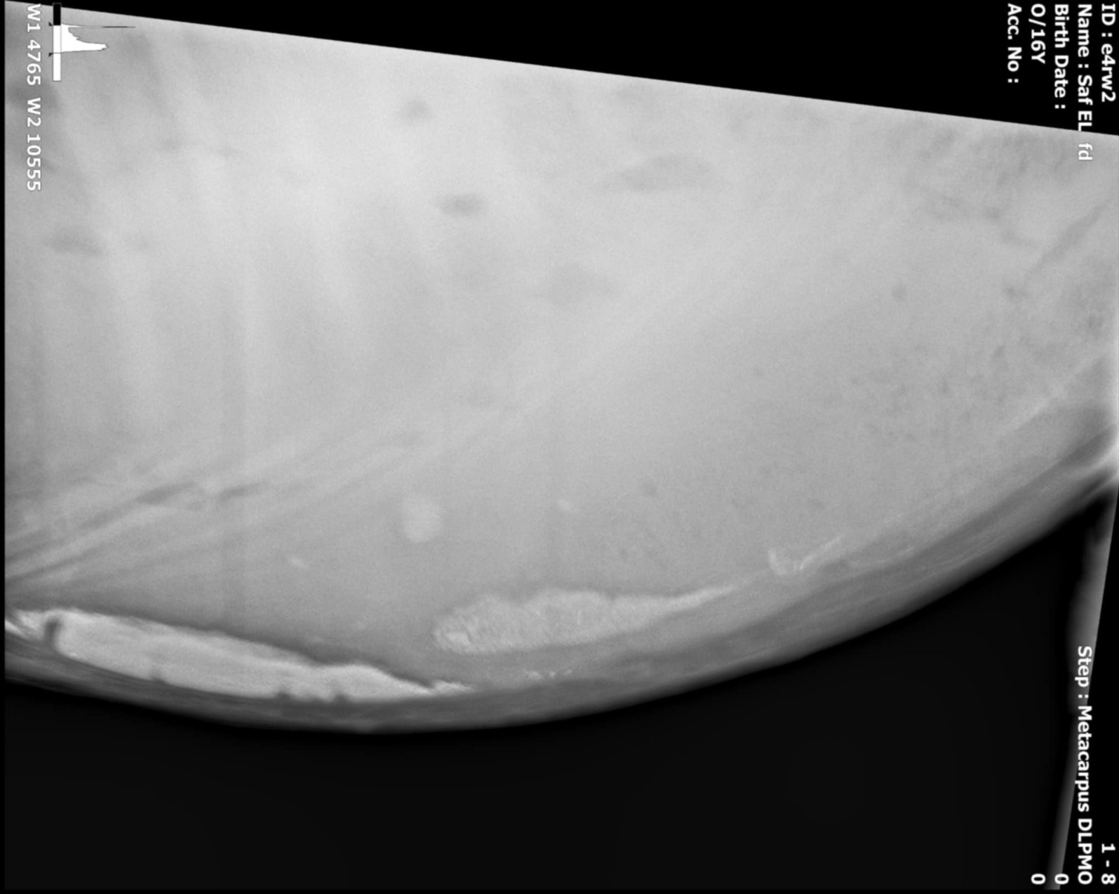 Our donkey update - 13th February 2025 - Safe Haven for Donkeys