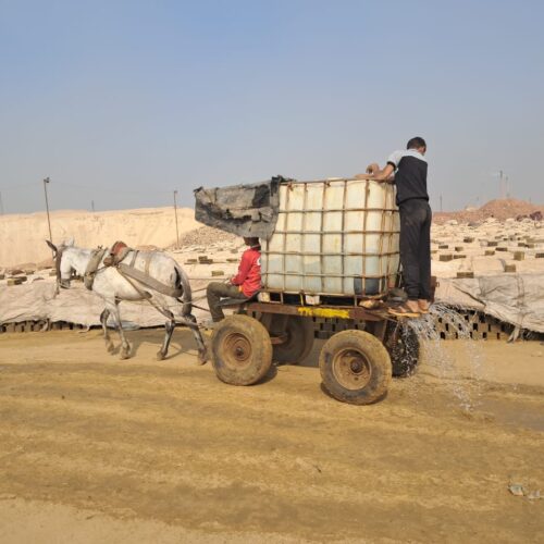 Safe Haven for Donkeys - Safe Haven for Donkeys